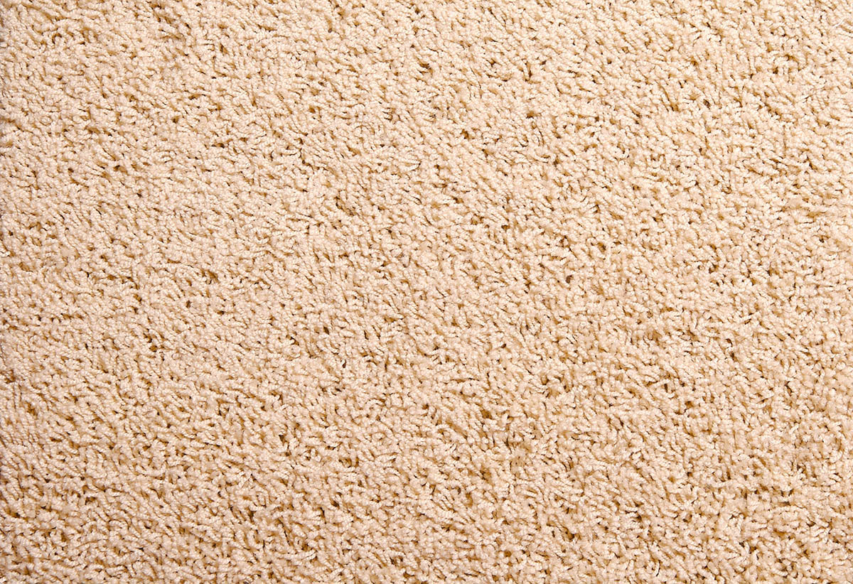 Carpet Store | Minnesota | Richards Carpet + Flooring